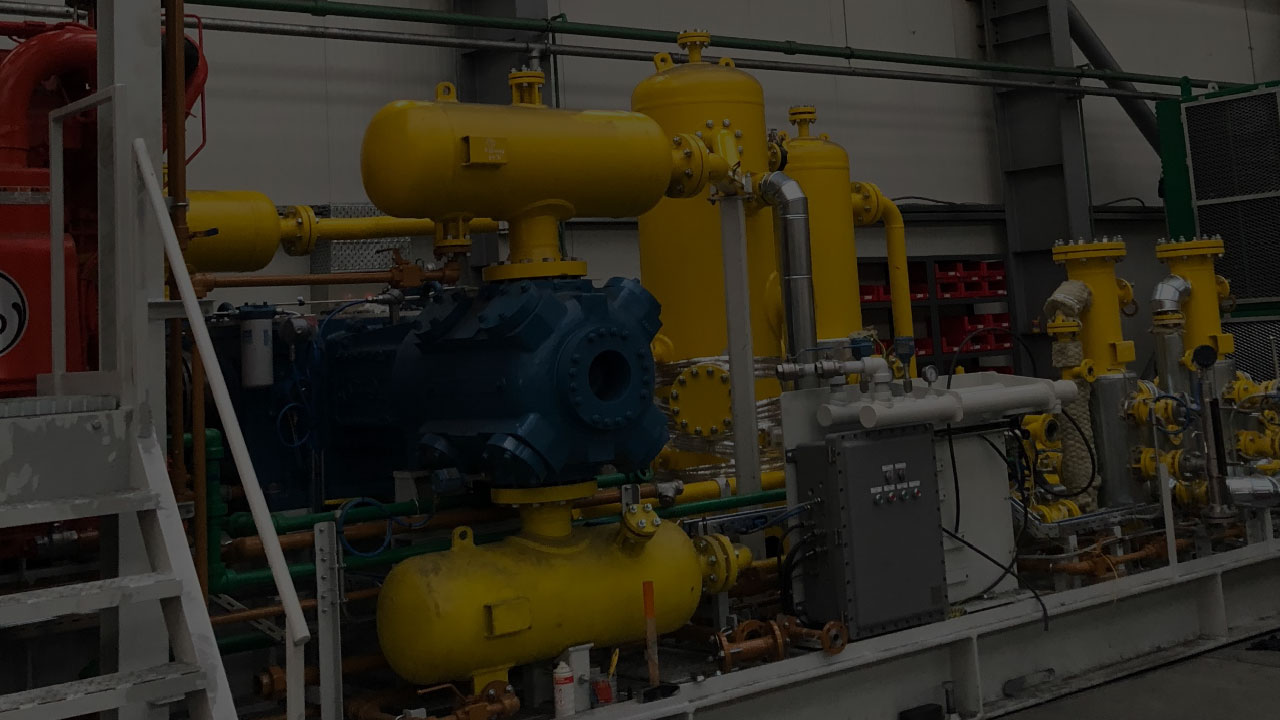 About Us – Talon Global Services Limited